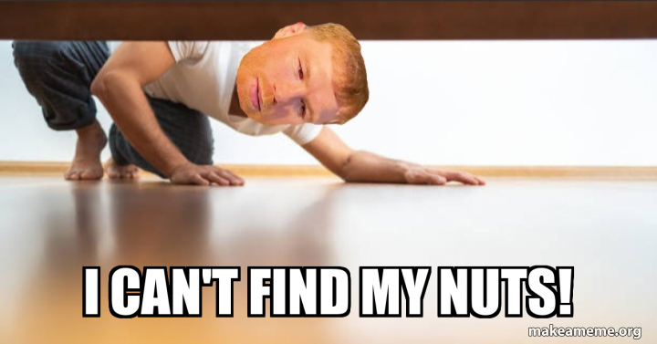 I can't find my nuts! Meme Generator