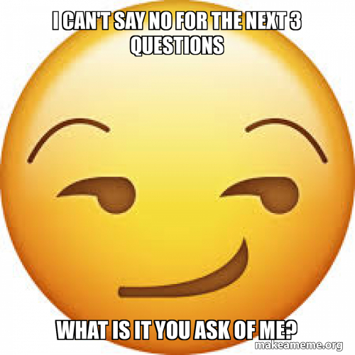 I can't say no for the next 3 questions what is it you ask of me? Meme ...