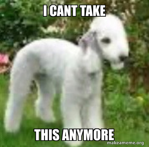 i cant take this anymore Meme Generator