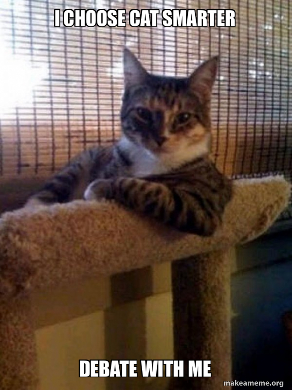 i choose cat smarter Debate with me - The Most Interesting Cat in the ...