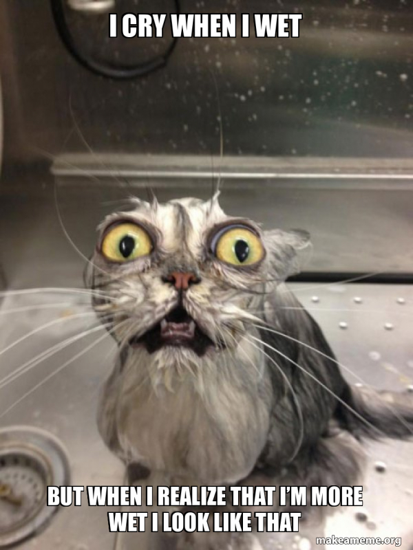 I cry when I wet But when I realize that I’m more wet I look like that ...