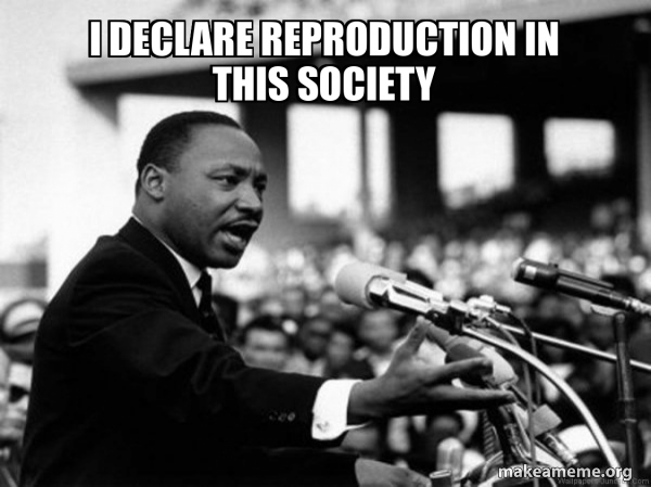 I DECLARE REPRODUCTION IN THIS SOCIETY - I Have a Dream (Martin Luthor ...