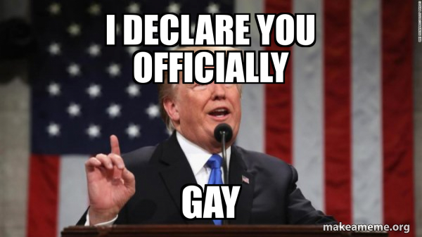 i declare you officially gay - Donald Trump Meme Generator