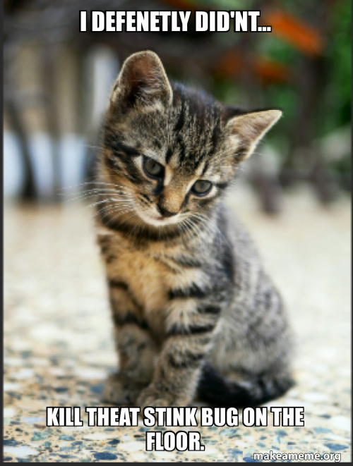 I defenetly did'nt... kill theat stink bug on the floor. Meme Generator