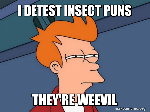 I DETEST INSECT PUNS THEY'RE WEEVIL - Futurama Fry Meme Generator