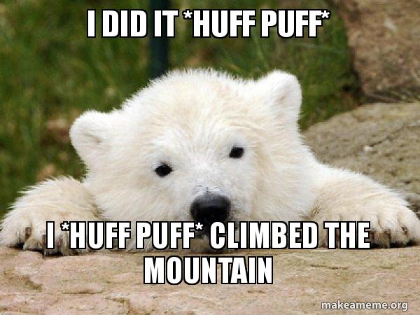 I did it *huff puff* I *huff puff* climbed the mountain - Popular ...