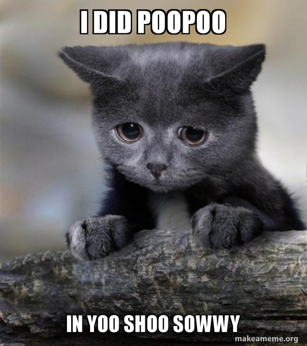 I did poopoo In yoo shoo sowwy - Confession Cat Meme Generator