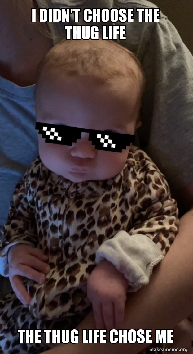 I didn’t choose the thug life The thug life chose me Meme Generator