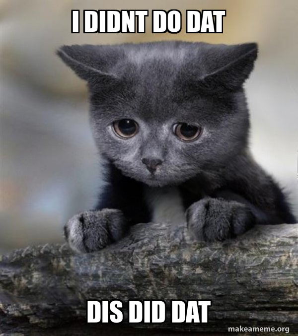 i didnt do dat dis did dat - Confession Cat Meme Generator
