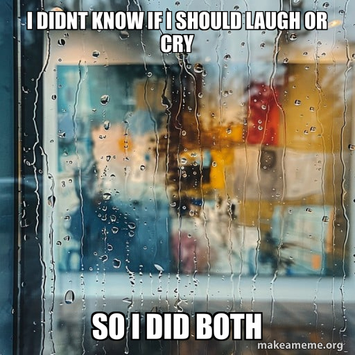 I didnt know if i should laugh or cry so i did both Meme Generator