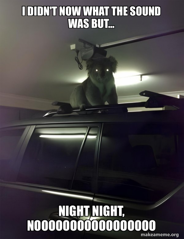 I didn't now what the sound was but... Night night, NOOOOOOOOOOOOOOOOO ...