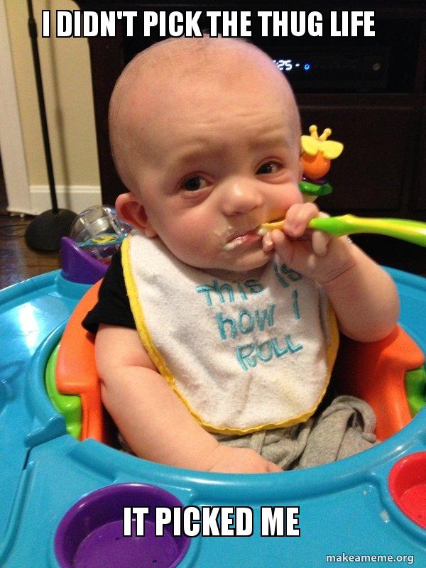 I didn't pick the thug life it picked me - The Most Interesting Baby in ...