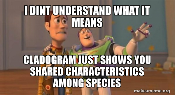 i dint understand what it means cladogram just shows you shared ...