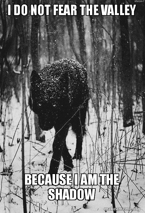 I do not fear the valley Because I am the shadow Meme Generator