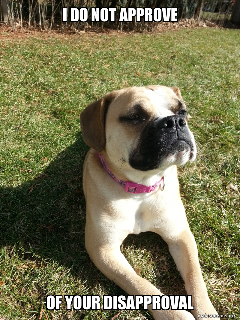 I do not approve of your disapproval - Disapproving Dog Meme Generator