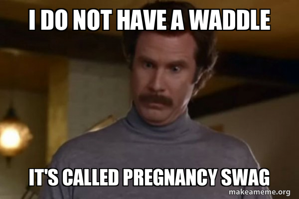 Pregnant Waddle Memes