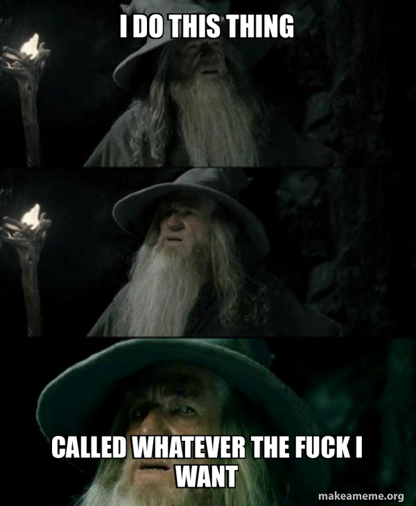 i do this thing called whatever the fuck i want - Confused Gandalf Meme ...