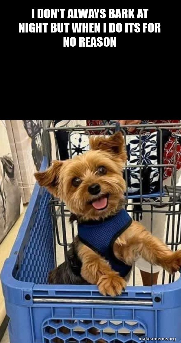 I don't Always bark at night but when I do its for no reason Meme Generator