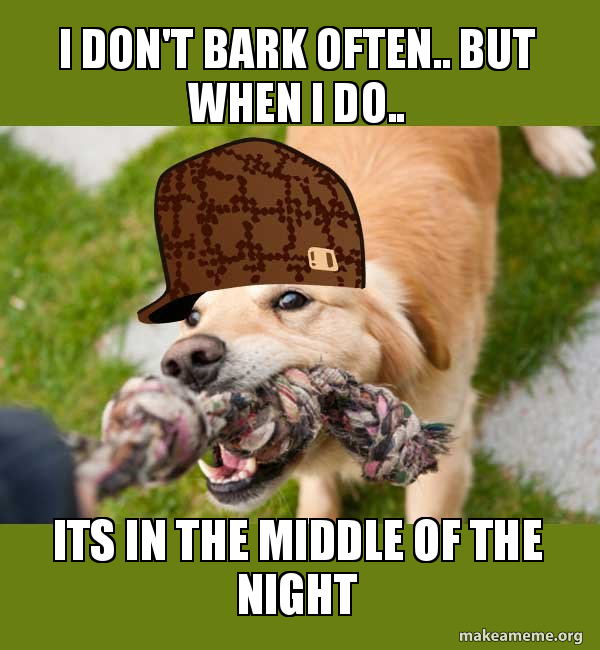 I don't bark often.. but when i do.. its in the middle of the night ...