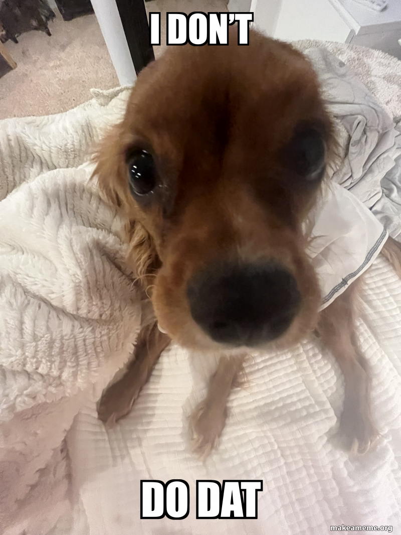 I don’t Do dat Meme Generator
