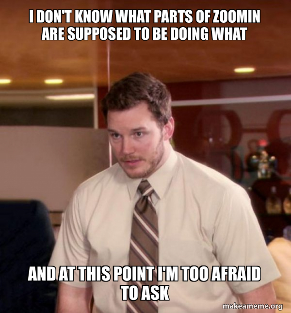 I don't know what parts of Zoomin are supposed to be doing what and at ...