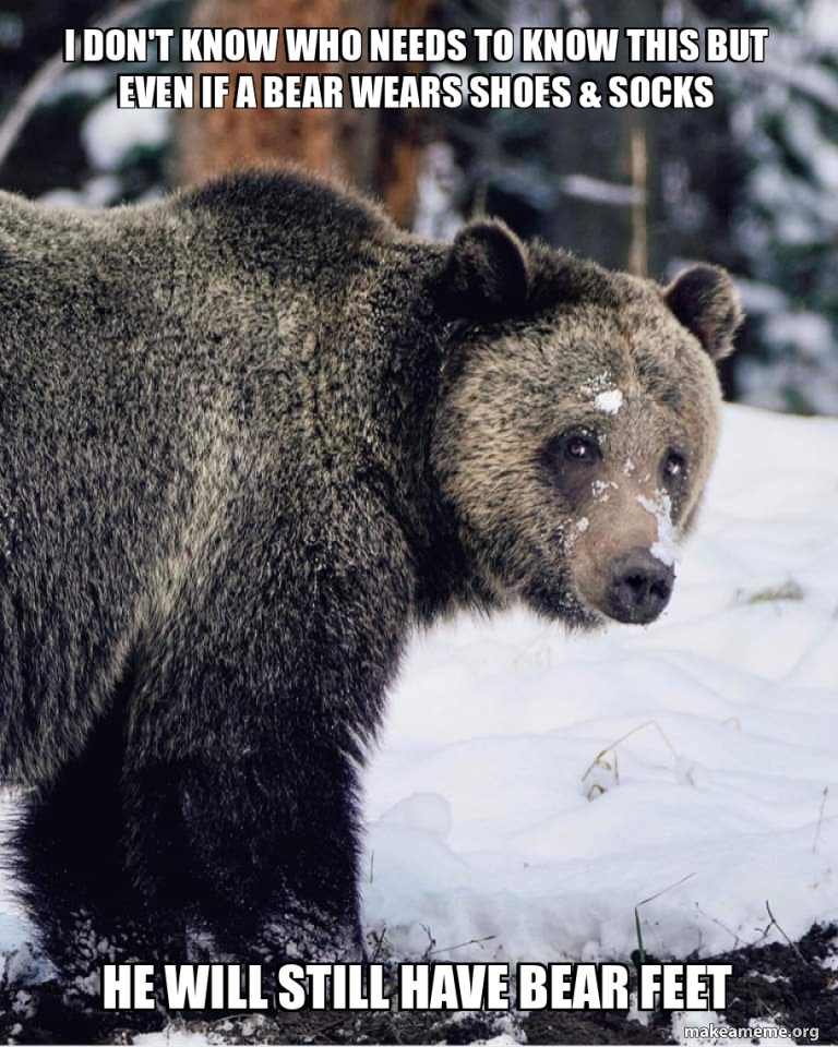 I DON'T KNOW WHO NEEDS TO KNOW THIS BUT EVEN IF A BEAR WEARS SHOES ...
