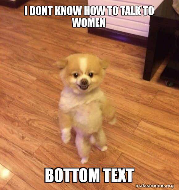 I Dont Know How To Talk To Women Bottom Text Meme Generator