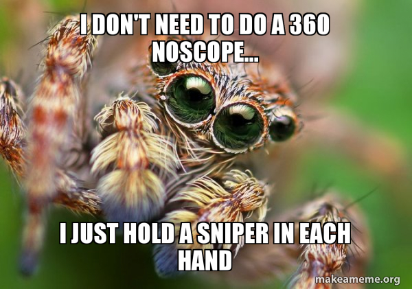 Sniper Spider Memes I Tried Killing This Spider With Body Glitter