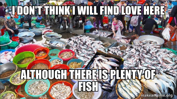 I don't think I will find love here although there is plenty of fish ...