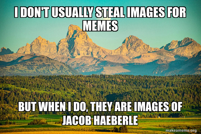 I don't usually steal images for memes but when I do, they are images ...