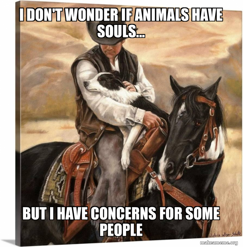 I don't wonder if animals have souls... But i have concerns for some ...