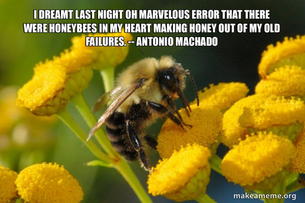 I dreamt last night oh marvelous error that there were honeybees in my ...