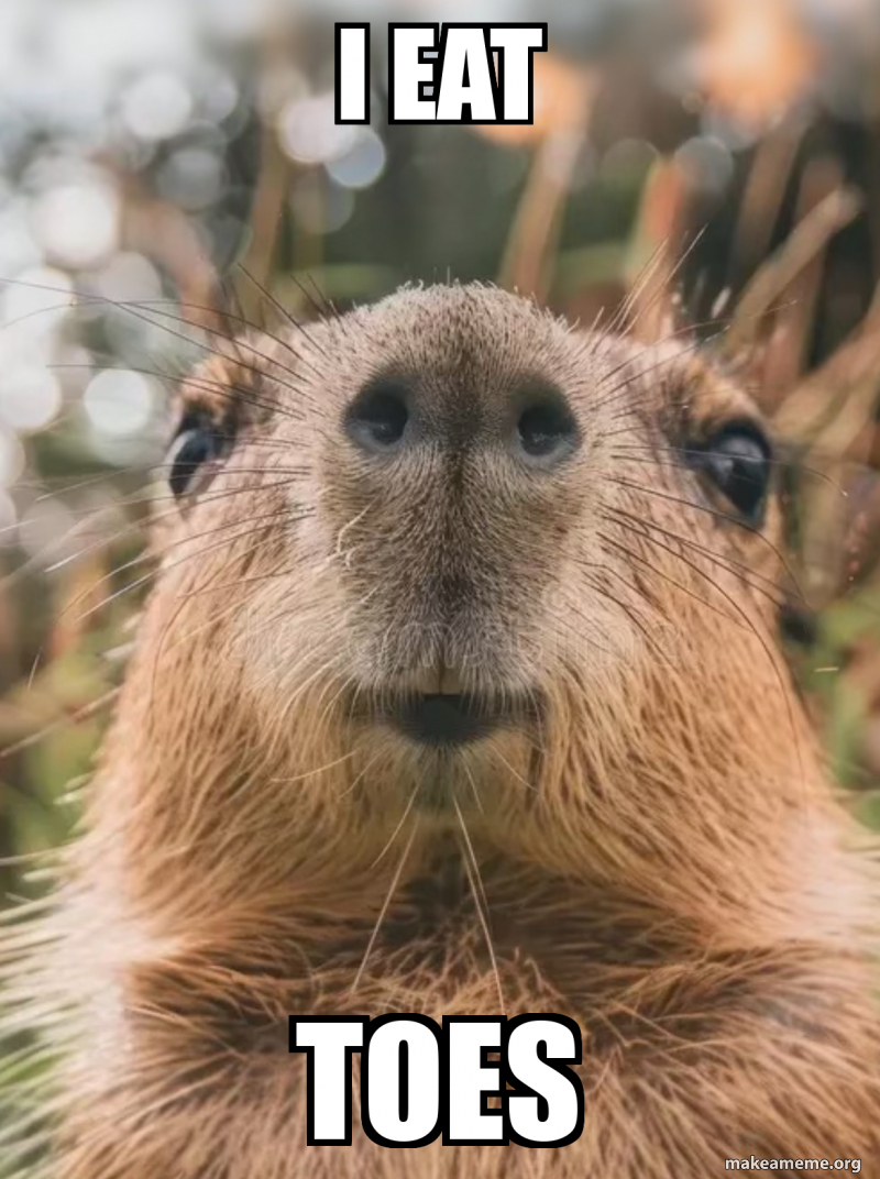 I eat Toes Meme Generator