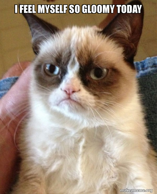 I feel myself so gloomy today - Grumpy Cat Meme Generator