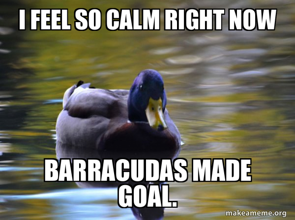 I feel so calm right now Barracudas made goal. - Zen Advice Mallard ...