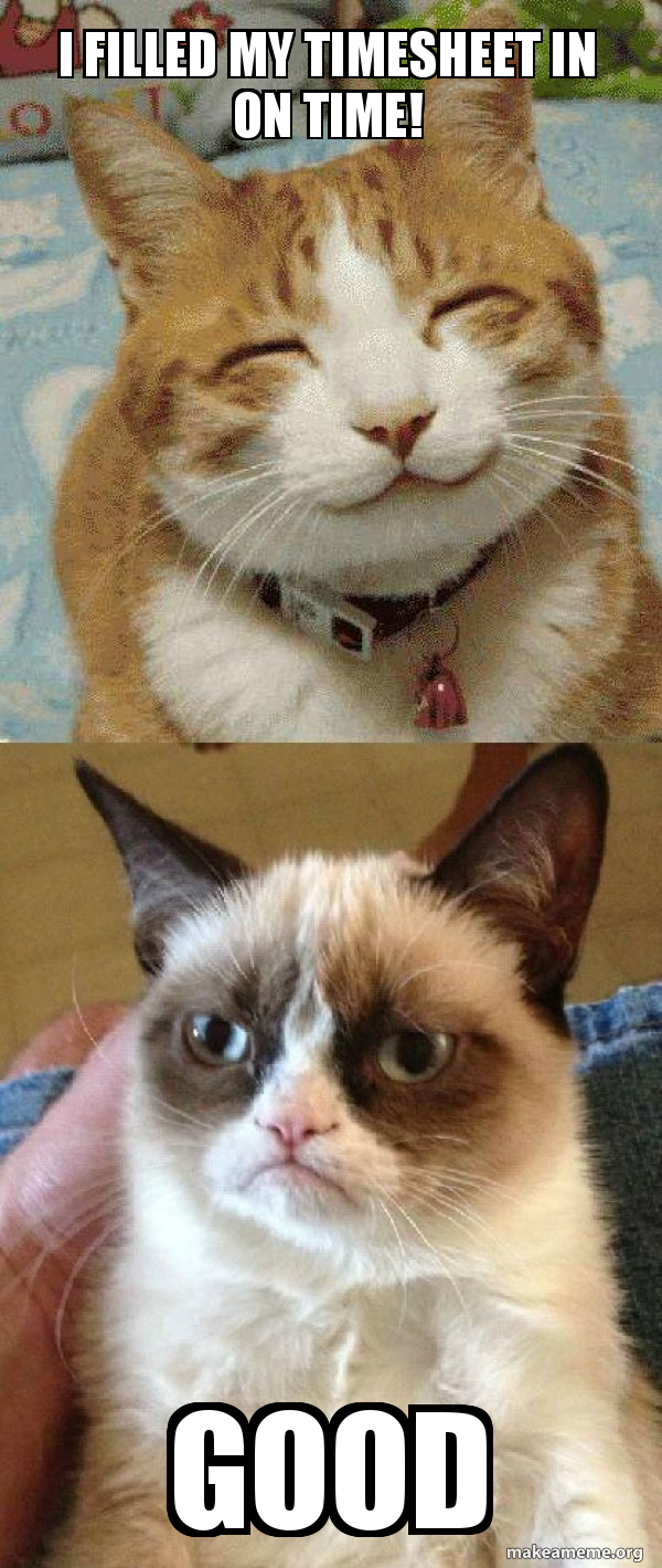 I filled my timesheet in on time! GOOD - Grumpy Cat vs Happy Cat Meme ...