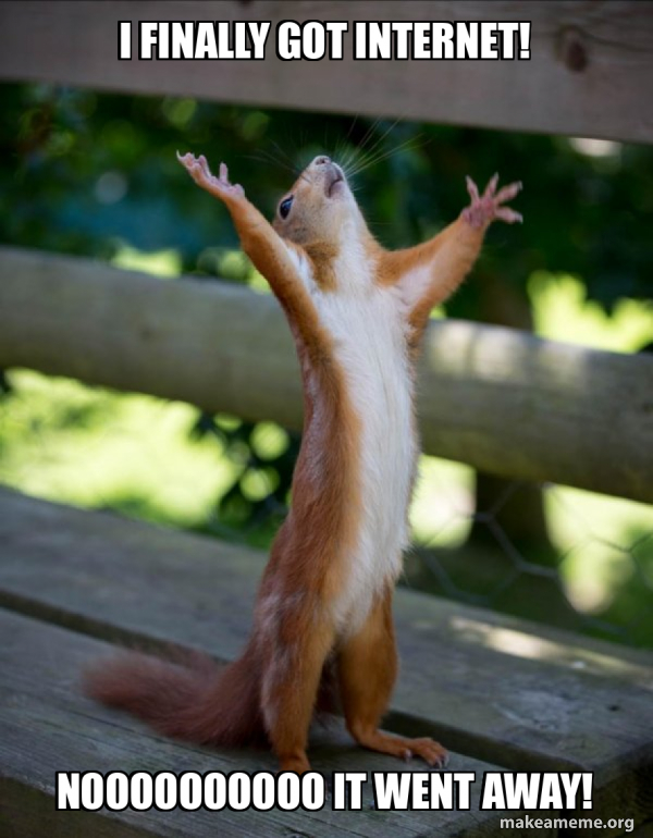 I FINALLY GOT INTERNET! NOOOOOOOOOO IT WENT AWAY! - Happy Squirrel Meme ...