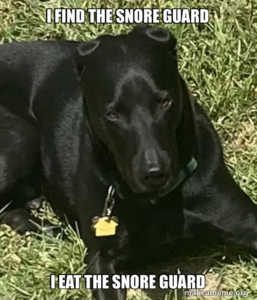 I find the snore guard I eat the snore guard Meme Generator