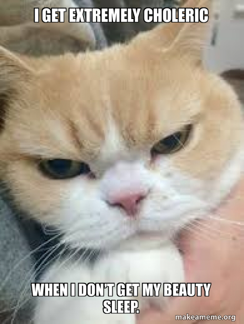 I get extremely choleric when i don’t get my beauty sleep. Meme Generator