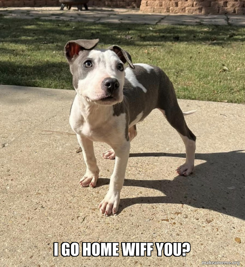 I go home wiff you? Meme Generator