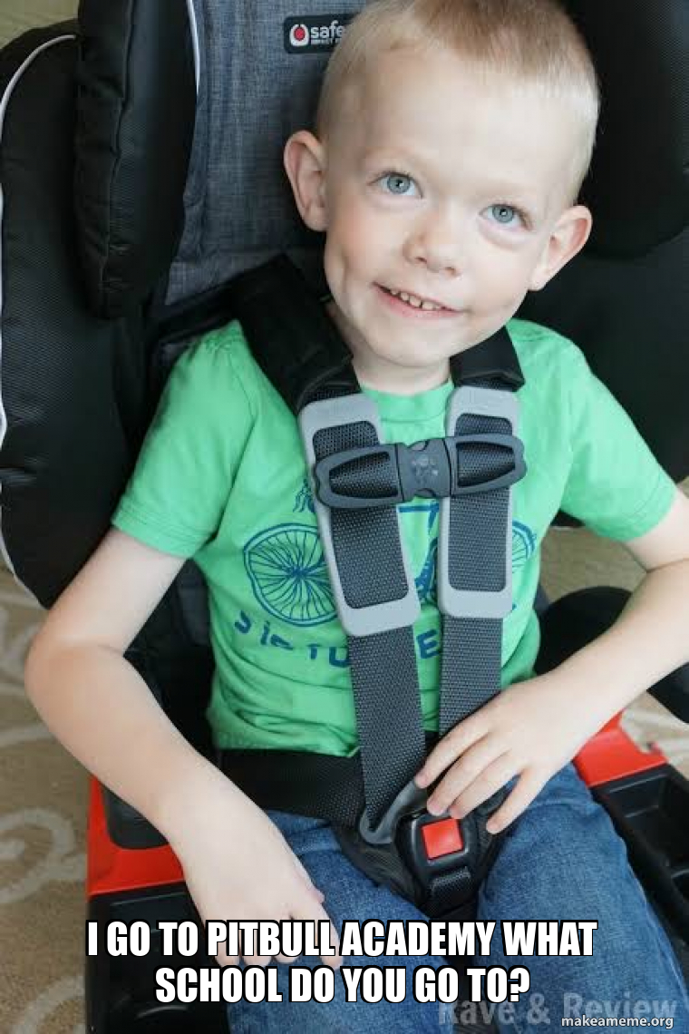 I go to pitbull academy what school do you go to? Meme Generator