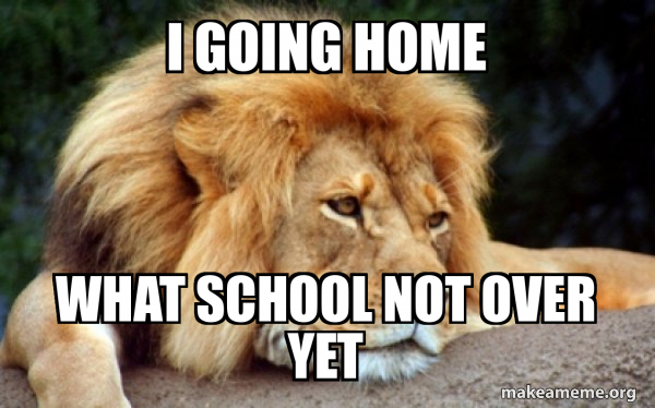 I going home what school not over yet - Confession Lion Meme Generator