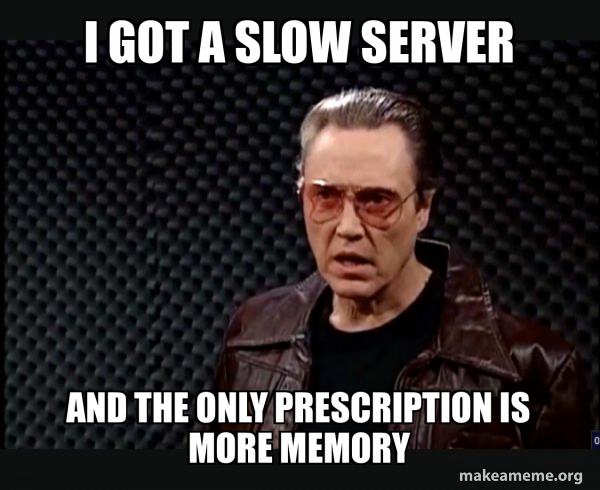 I got a slow server and the only prescription is more memory - SNL ...