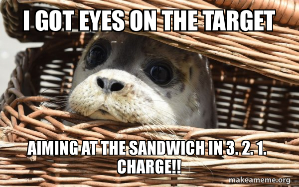 Target Basket Memes MEME GALLERY] The Nightcap The Funniest Memes
