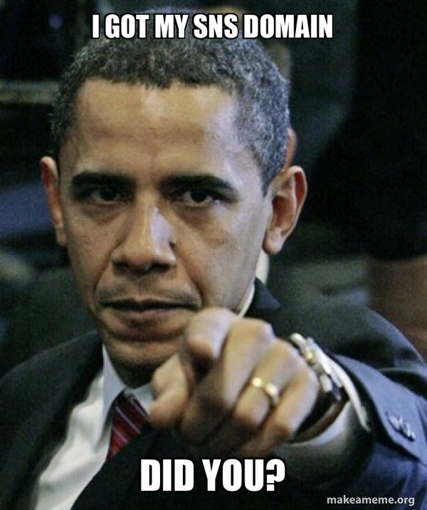 I got my SNS Domain Did you? - Angry Obama Meme Generator