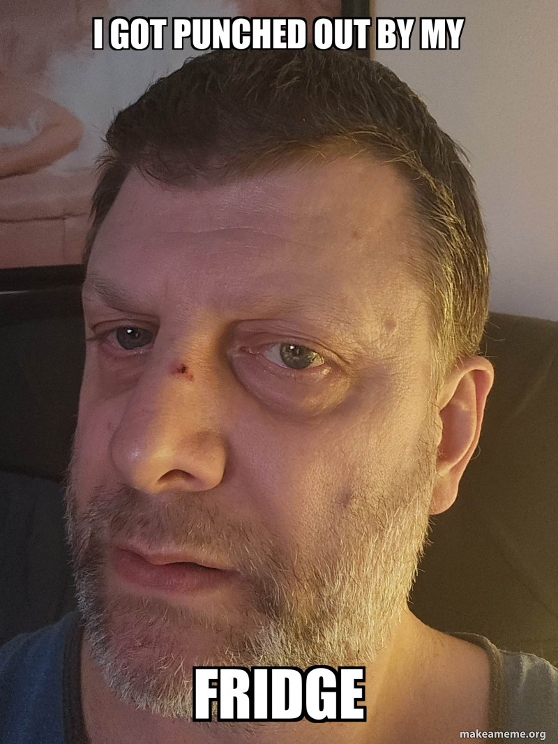 I got punched out by my fridge Meme Generator