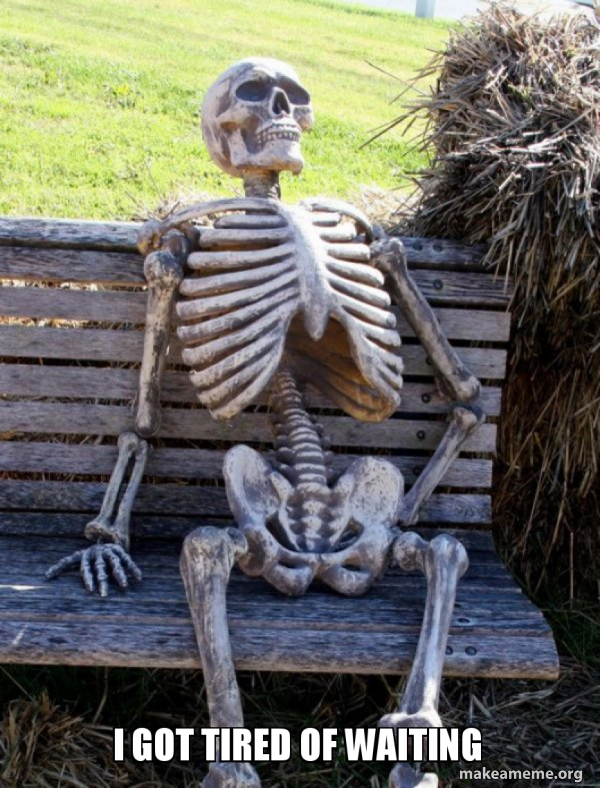I Got Tired Of Waiting - Waiting Skeleton Meme Generator