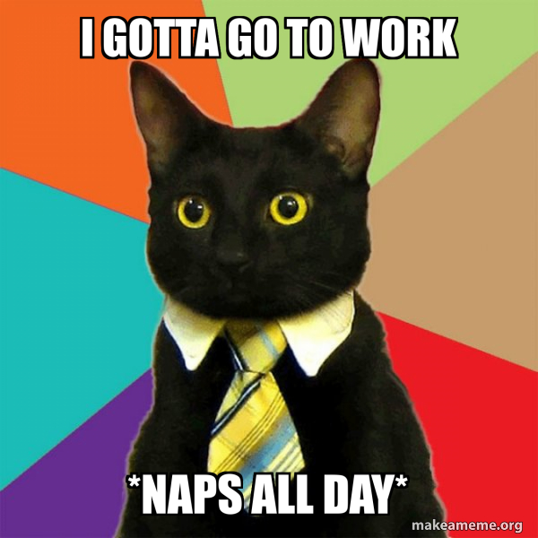 I gotta go to work *Naps all day* - Business Cat Meme Generator
