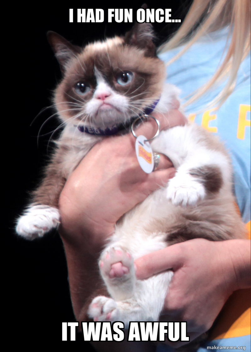 I had fun once... It was awful Meme Generator