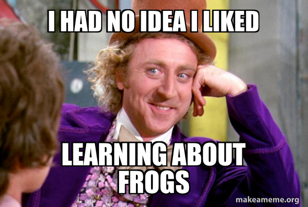 i had no idea i liked learning about frogs - Condescending Wonka Meme ...